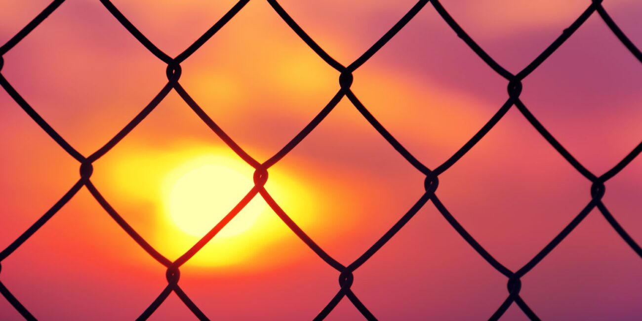 Project 2025 (Part 2) - RedGIFs Creators